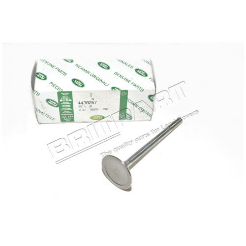 Valve - Exhaust - 4438257